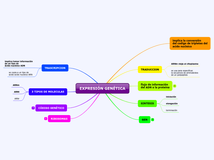EXPRESIÓN GENÉTICA - Mind Map EXPRESIÓN GENÉTICA - Mind Map